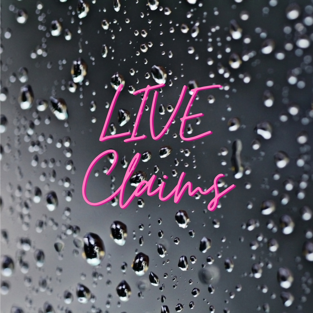 CLAIMS TikTok – Blissful Rain Boutique Inc.